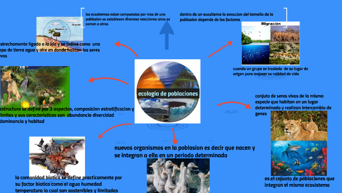 ecologia y medio ambiente